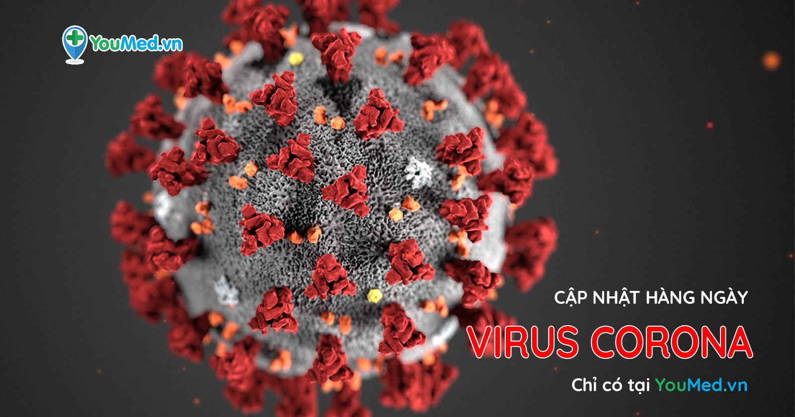 Infographic: Số liệu cập nhật về virus Corona - YouMed