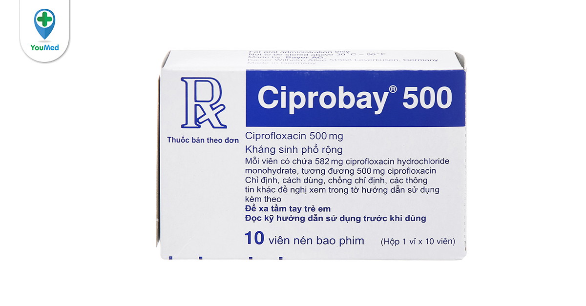 Thuốc Ciprobay (ciprofloxacin): Công dụng, cách dùng và lưu ý - YouMed