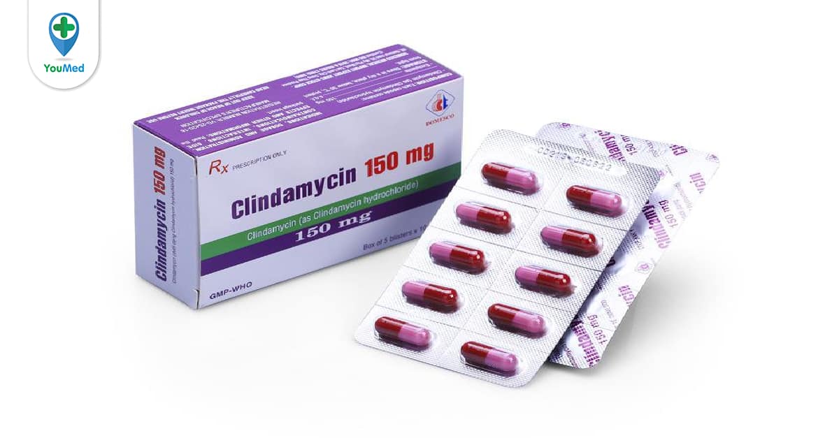 Những điều cần biết về kháng sinh Clindamycin - YouMed