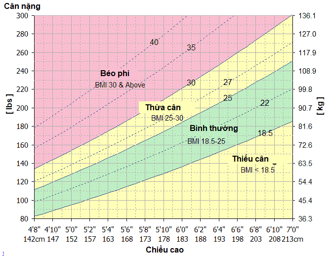 Chỉ Số Bmi Cách Tính Chính Xác Nhất