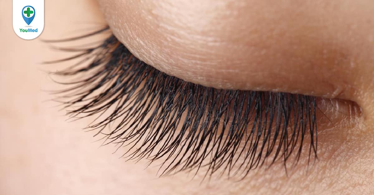 Lông mi: Hàng rào bảo vệ và tạo vẻ đẹp cho đôi mắt - YouMed