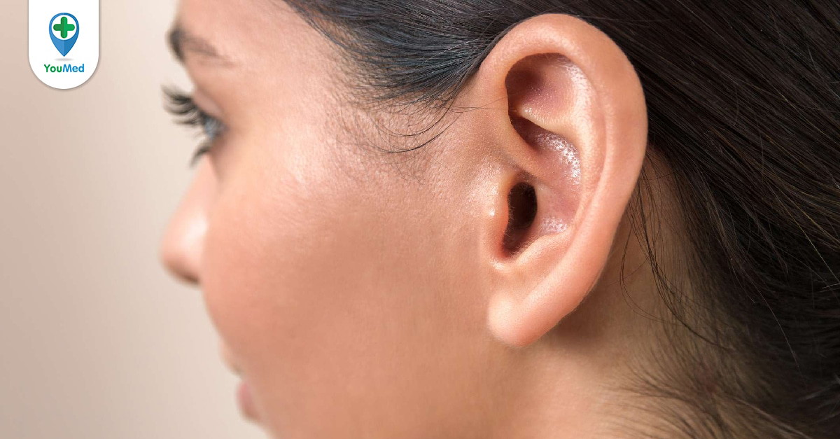 Vành tai: Cấu tạo, chức năng và bệnh lý thường gặp - YouMed