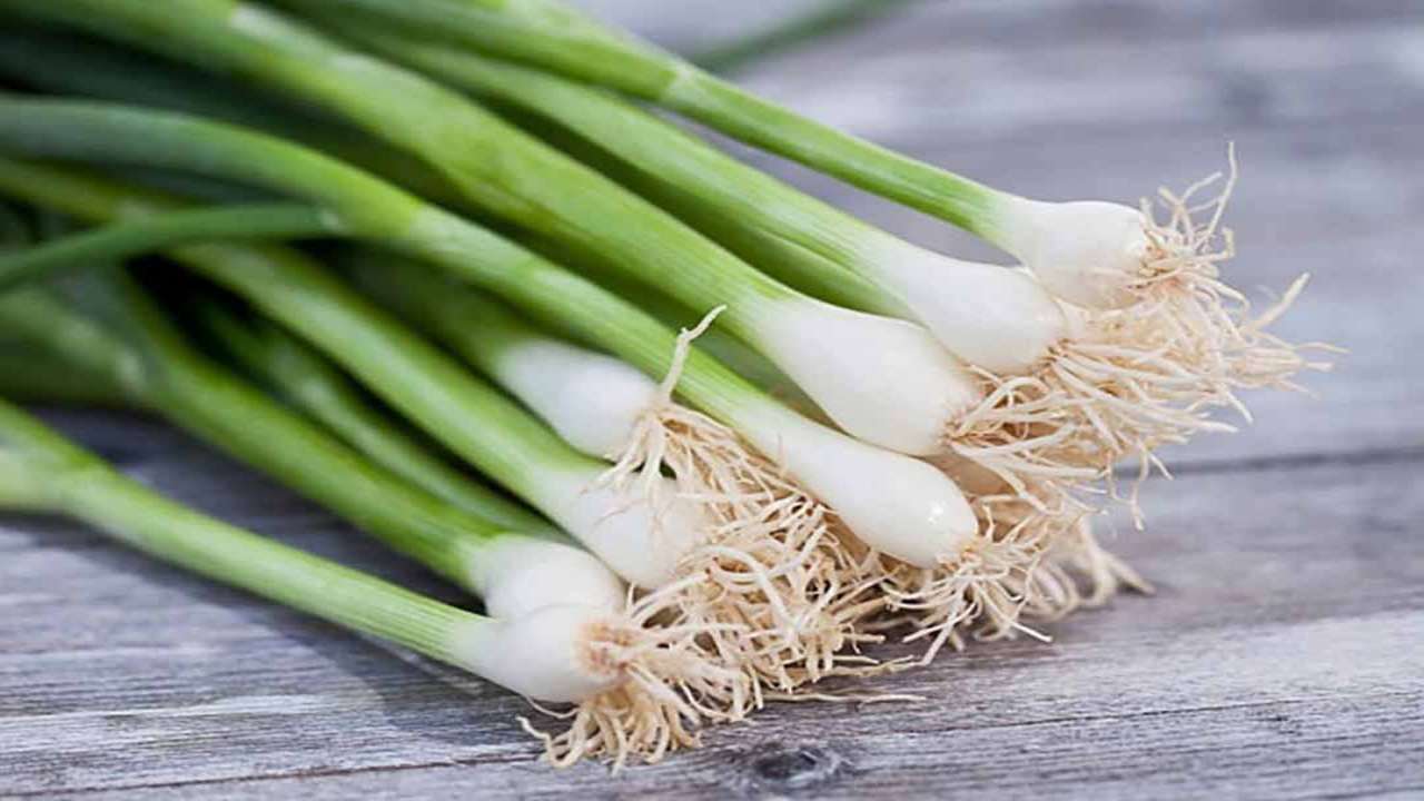 Hành lá có tác dụng gì? 5 lợi ích sức khỏe của hành lá - YouMed