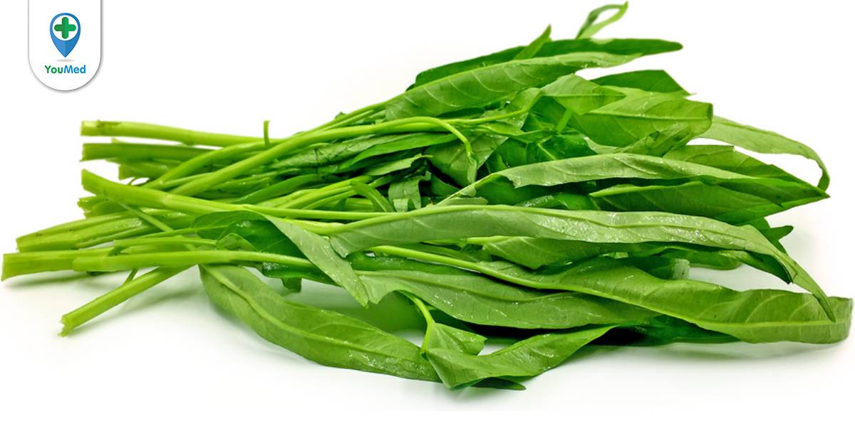 Rau muống nguồn dưỡng chất sắt và thực phẩm trị táo bón - YouMed