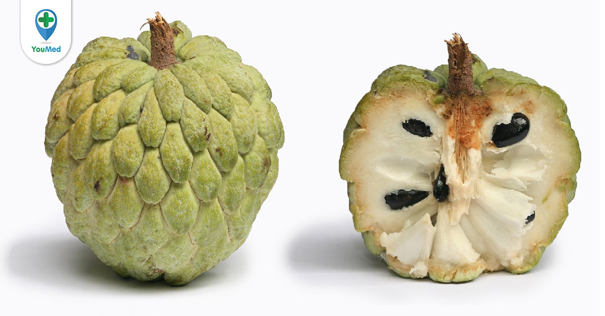Quả na - Những lợi ích sức khỏe từ loại quả thơm ngon - YouMed