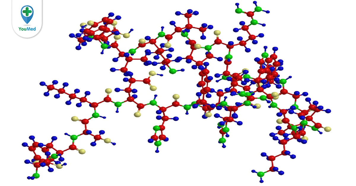 Rối loạn chuyển hóa protid: cơ sở hóa sinh và ứng dụng thực tế - YouMed