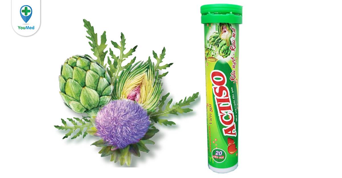 Viên sủi Actiso: giá, thành phần và cách sử dụng hiệu quả - YouMed
