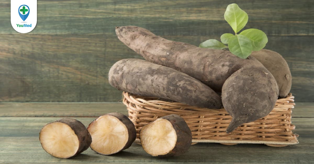 Sâm đất - Dược liệu quý đối với sức khỏe - YouMed