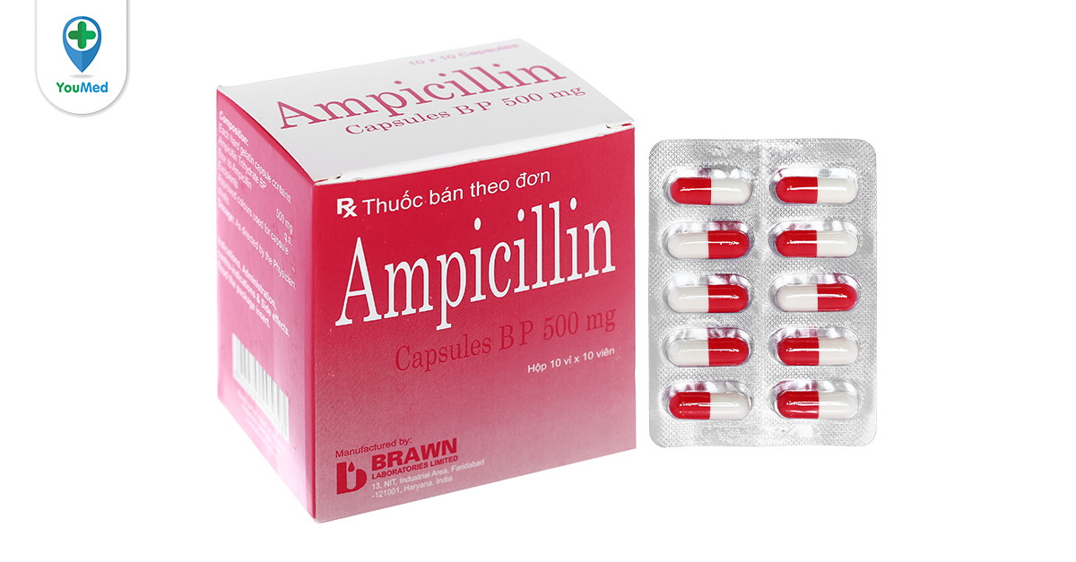 Ampicillin Brawn là thuốc gì? Công dụng, cách dùng và lưu ý khi dùng ...