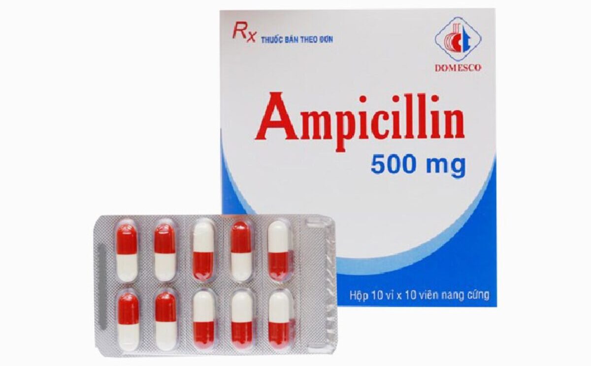 Ampicillin Domesco là thuốc gì? Công dụng, cách dùng và lưu ý khi dùng ...
