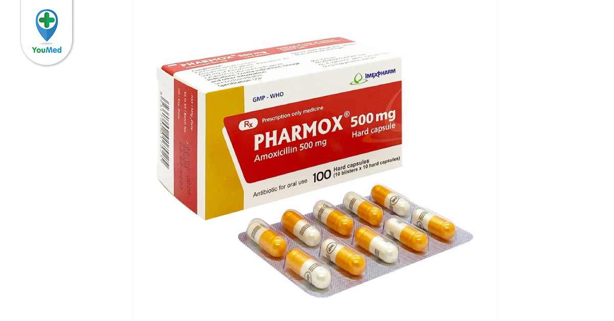 Pharmox là thuốc gì? Công dụng, cách dùng và lưu ý khi dùng - YouMed