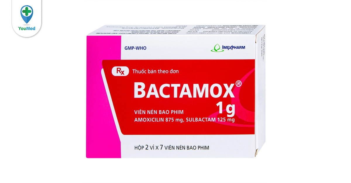 Bactamox là thuốc gì? Công dụng, cách dùng và lưu ý khi dùng - YouMed